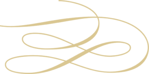 INICIA - Asset Management